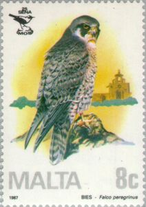 Stamp: Peregrine Falcon (Falco peregrinus) (Malta) (25th Anniversary of ...