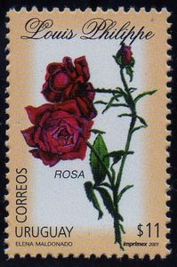 Stamp: Louis Philippe (Uruguay) (Rose varieties) Mi:UY 2616,Sn:UY 1915a ...