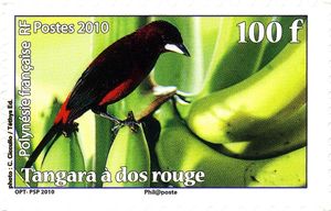 Stamp: Crimson-backed Tanager (Ramphocelus dimidiatus) (French ...