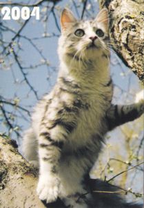 Pocket Calendar: Cat (Lithuania(Cats) Col:LT-2004-Cat-001.03