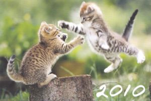 Pocket Calendar: Kittens (Lithuania) (Cats) Col:LT-2010-Cat-001.02