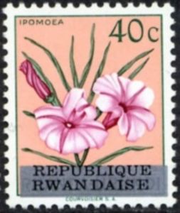 Stamp: Ipomoea filicaulis overprinted "REPUBLIQUE RWANDAISE" (Rwanda ...