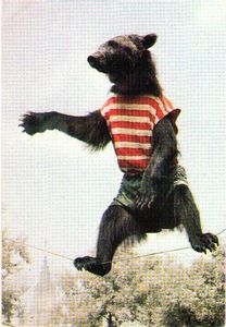 Calendario de Bolsillo: Bear Balancing on a Wire (Unión Soviética, URSS ...
