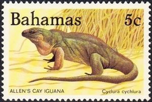 Stamp: Northern Bahamian Rock Iguana (Cyclura cychlura) (Bahamas ...