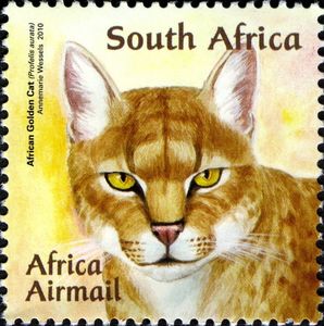 Stamp: African Golden Cat (Profelis aurata) (South Africa(Animals (cats ...