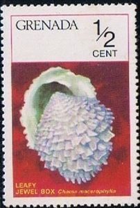 Stamp: Leafy Jewel Box Clam (Chama macerophylla) (Grenada(Seashells ...