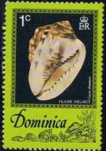 Stamp: Flame Helmet (Cassis flammea) (Dominica(Sea Shells) Mi:DM 518,Sn ...