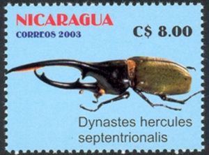 Stamp: Hercules Beetle (Dynastes hercules) (Nicaragua(Insects of ...