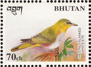 Stamp: Chestnut-flanked White-eye (Zosterops erythropleurus) (Bhutan ...