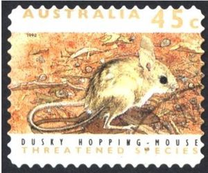 Briefmarke: Dusky Hopping-mouse (Notomys fuscus) (Australien ...