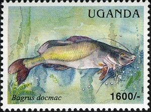 Stamp: Silver Catfish (Bagrus docmac) (Uganda(Fishes of Lake Victoria ...