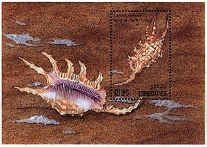 Stamp: Scorpion Conch (Lambis scorpio) (Maldives(Shells) Mi:MV BL283,Sn ...