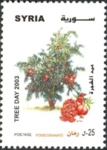 Stamp: Tree Day - Pomegranate (Syria(Flora) Mi:SY 2148,Sn:SY 1537,Yt:SY ...