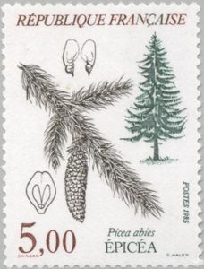 Timbre: Tree: Spruce - Picea abies (France(Flore) Yt:FR 2387,Mi:FR 2517 ...