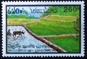 Stamp: Rice Fields (Laos(Save The Nature) Mi:LA 1376,Sn:LA 1141,Yt:LA ...
