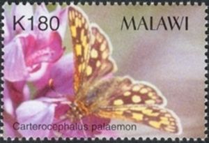 Stamp: Checkered Skipper (Carterocephalus palaemon) (Malawi(Butterflies ...