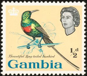 Stamp: Beautiful Long-tailed Sunbird (Cinnyris pulchellus) (Gambia ...