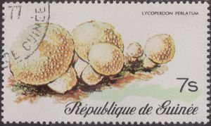切手: Lycoperdon Perlatum (ギニア(Mushrooms (1977)) Mi:GN 760A,Sn:GN 725,Yt ...