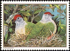 Stamp: Cook Islands Fruit-Dove (Ptilinopus rarotongensis) (Cook Islands ...
