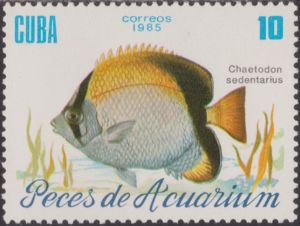 Briefmarke: Reef Butterflyfish (Chaetodon sedentarius) (Kuba(Fische im ...