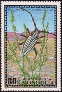 Stamp: Longhorn Beetle (Edorcadion mongolicum) (Mongolia(Bugs) Mi:MN ...