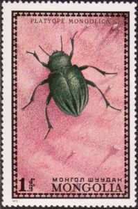 Stamp: Darkling Beetle (Platyope mongolica) (Mongolia) (Bugs) Mi:MN 691 ...