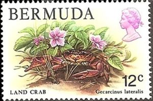 Stamp: Bermuda Land Crab (Gecarcinus lateralis) (Bermuda(Wildflife) Mi ...