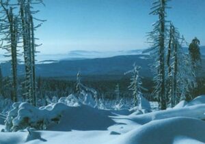 Postcard: Jizera Mountains | View to Černá hora (Czech Republic(_Jizera ...