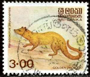 Stamp: Golden Palm Civet (Paradoxurus zeylonensis) (Sri Lanka) (Native ...