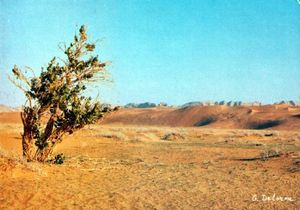 Postcard: Peisage around Riyadh (Saudi Arabia(Riyadh) Col:SA-000018