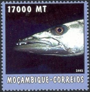 Stamp: Barracuda (Sphyraena sp.) (Mozambique(The World of the Sea ...
