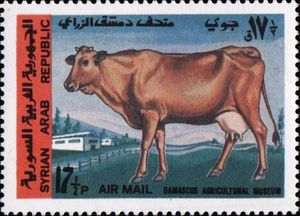 Stamp: Cow (Syria) (Damascus Agricultural Museum) Mi:SY 1088,Sn:SY C449 ...