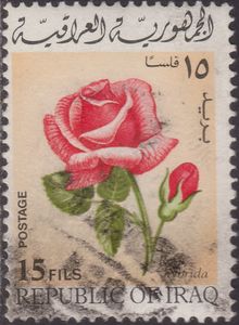 Stamp: Rose (Rosa hybrida) (Iraq(Flowers) Mi:IQ 613,Sn:IQ 530,Yt:IQ 583 ...