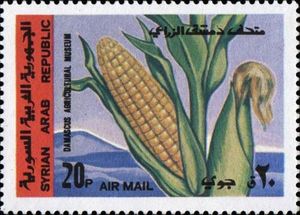 Stamp: Corn (Syria(Damascus Agricultural Museum) Mi:SY 1089,Sn:SY C450 ...