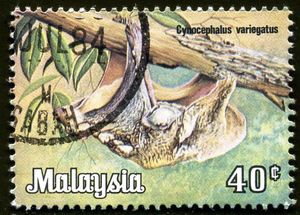 Stamp: Sunda Colugo (Cynocephalus variegatus) (Malaysia(Wildlife) Mi:MY ...