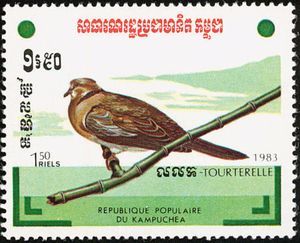Stamp: Sunda Collared-Dove (Streptopelia bitorquata) (Cambodia(Birds ...