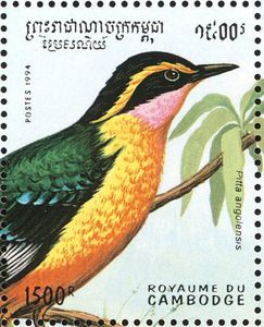 Stamp: African Pitta (Pitta angolensis) (Cambodia(Birds (1994)) Mi:KH ...