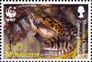 Stamp: Mountain Chicken (Leptodactylus fallax) (Montserrat(Global ...