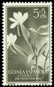 Stamp: Comet Orchid (Angraecum distichum) (Spanish Guinea(Pro ...