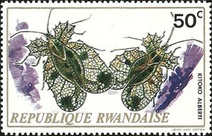 Stamp: Tingid Bug (Kitoko alberti) (Rwanda(Insects) Mi:RW 540A,Sn:RW ...