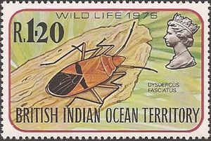 Stamp: Cotton Stainer (Dysdercus fasciatus) (British Indian Ocean ...
