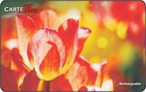 Gift Card: TimCard Quickpay (Tulips) (F) (Tim Hortons-Coldstone ...