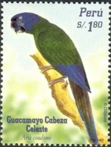 Stamp: Blue-headed Macaw (Ara couloni) (Peru(Endangered Species) Mi:PE ...