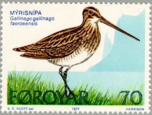 Stamp: Common Snipe (Gallinago gallinago) (Faroe Islands(Birds 1977) Mi ...