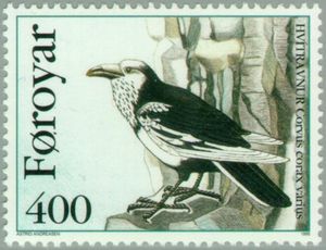 Stamp: Pied Raven (Corvus corax varius) (Faroe Islands(Birds 1995) Mi ...