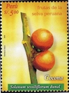 Stamp: Solanum sessiliflorum dunal (Peru) (Fruits of Peruvian Jungle ...