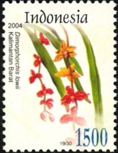 Stamp: Dimorphorchis lowii (Indonesia(Unitary State of Floral Diversity ...