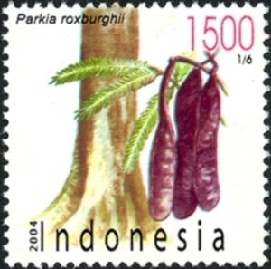 Stamp: Parkia roxburghii (Indonesia(Flora and Fauna: Medicinal Plants ...