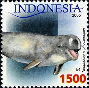 Stamp: Indo-pacific Finless Porpoise (Neophocaena phocaenoides ...