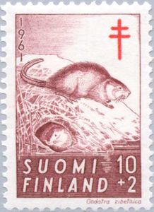 Postzegel: Muskrat (Ondatra zibethicus) (Finland(Anti Tuberculosis ...